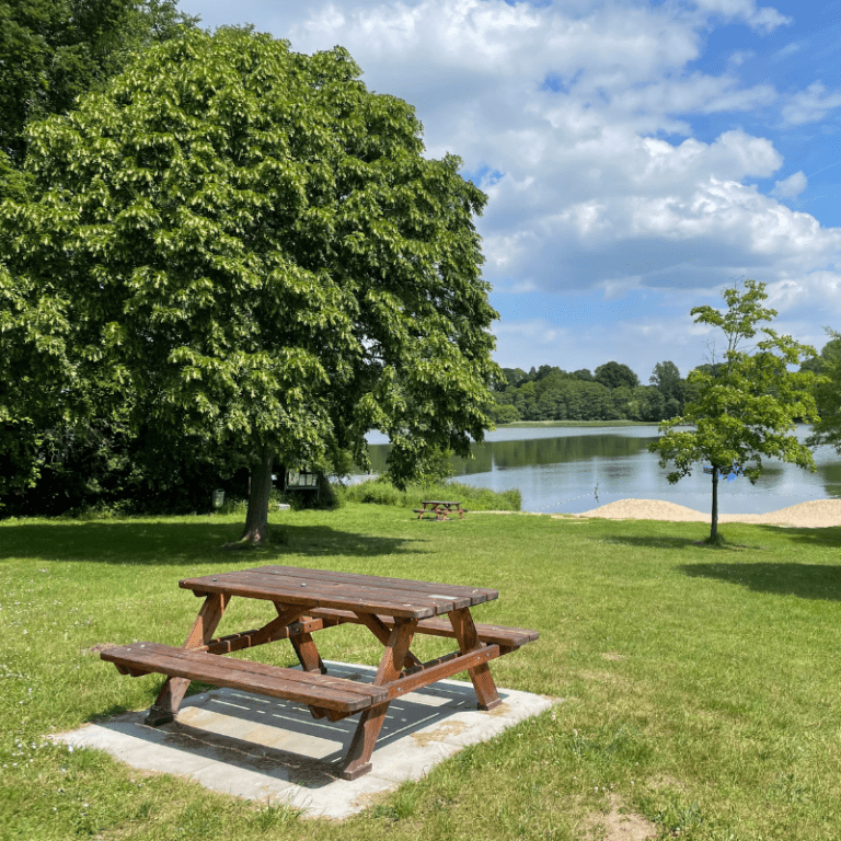 Are CDD Fees Tax Deductible? A New Homeowner's Guide