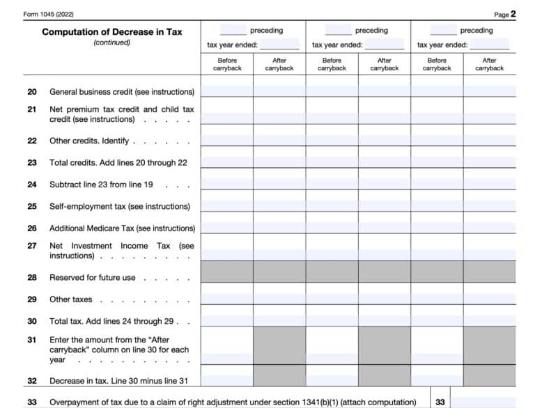 IRS Form 1045 Instructions - Applying For A Tentative Refund