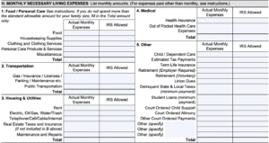 IRS Form 433-F Instructions - The Collection Information Statement