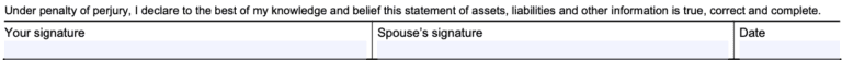 IRS Form 433-F Instructions - The Collection Information Statement