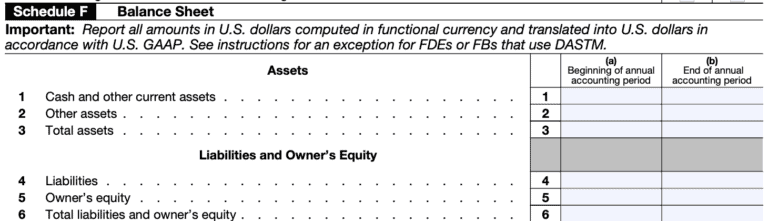 IRS Form 8858 Instructions - Information Return for FDEs & FBs