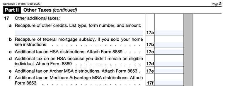IRS Schedule 2 Instructions - Additional Taxes