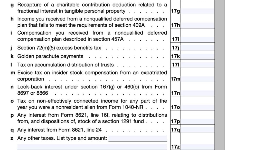 IRS Schedule 2 Instructions - Additional Taxes