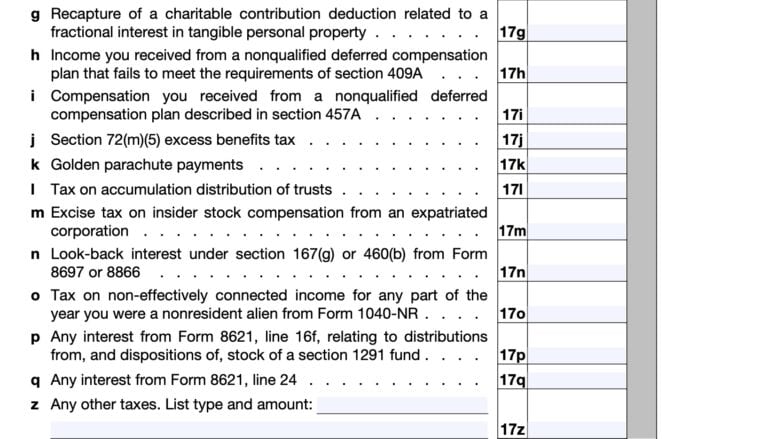IRS Schedule 2 Instructions - Additional Taxes