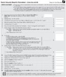 IRS Form 1040-SR Instructions - Tax Return For Seniors