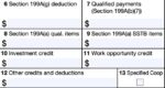 IRS Form 1099-PATR Instructions - Cooperative Distributions