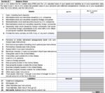 IRS Form 8854 Instructions