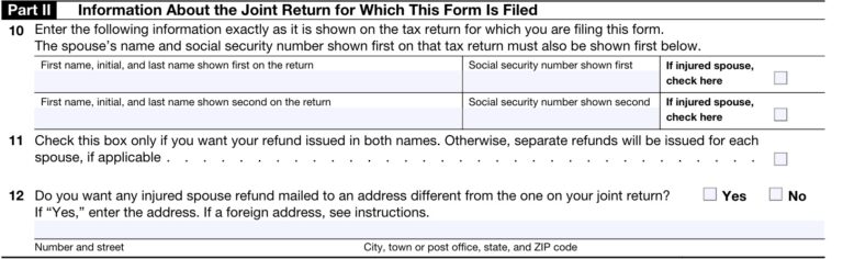 IRS Form 8379 Instructions
