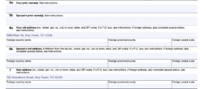IRS Form 8822 Instructions - Changing Your Address With the IRS