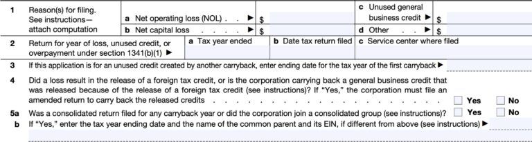 IRS Form 1139 Instructions - Tentative Corporate Tax Refund