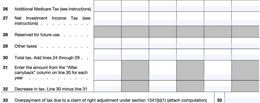 IRS Form 1045 Instructions - Applying For A Tentative Refund