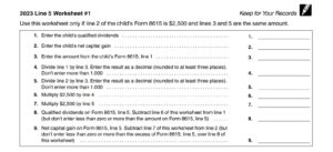 IRS Form 8615 Instructions