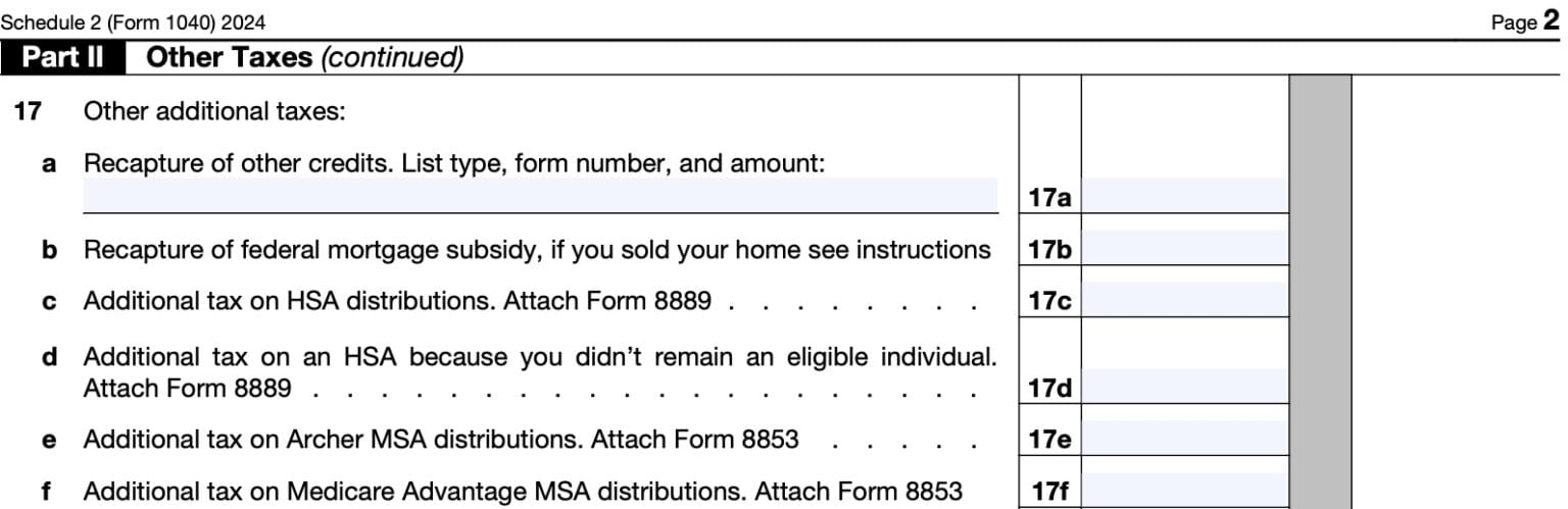 IRS Schedule 2 Instructions - Additional Taxes