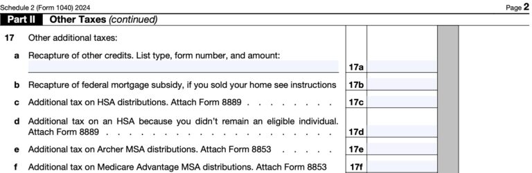 IRS Schedule 2 Instructions - Additional Taxes