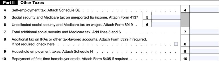 IRS Schedule 2 Instructions - Additional Taxes