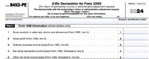 IRS Form 8453-PE Instructions