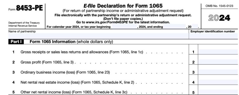 IRS Form 8453-PE Instructions