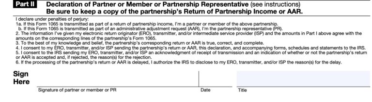 IRS Form 8453-PE Instructions