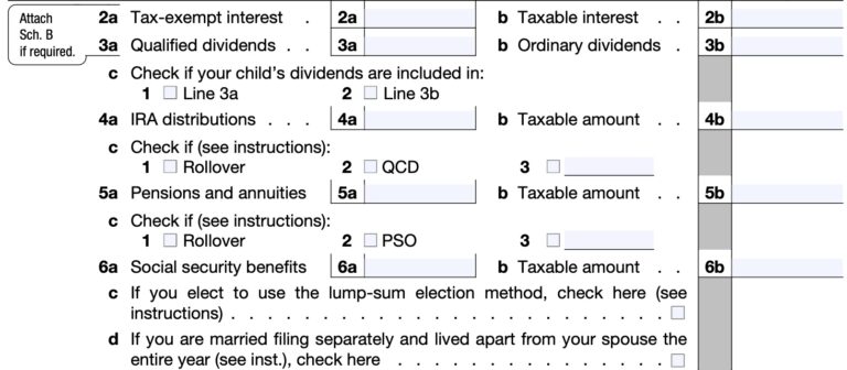 IRS Form 1040-SR Instructions - Tax Return For Seniors