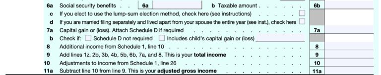 IRS Form 1040 Instructions