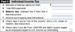 IRS Form 4868 Instructions - Individual Tax Return Extension