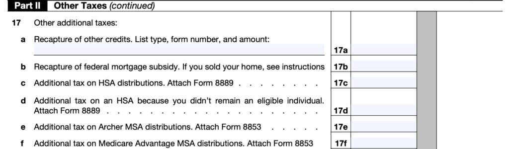 IRS Schedule 2 Instructions - Additional Taxes