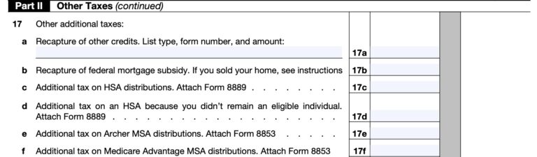 IRS Schedule 2 Instructions - Additional Taxes