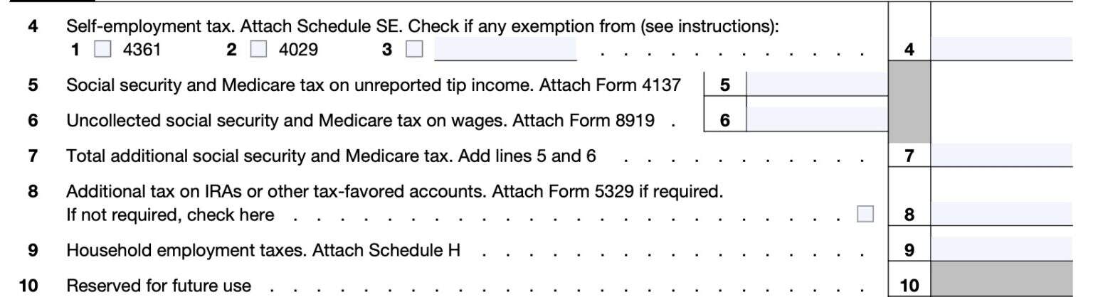 IRS Schedule 2 Instructions - Additional Taxes
